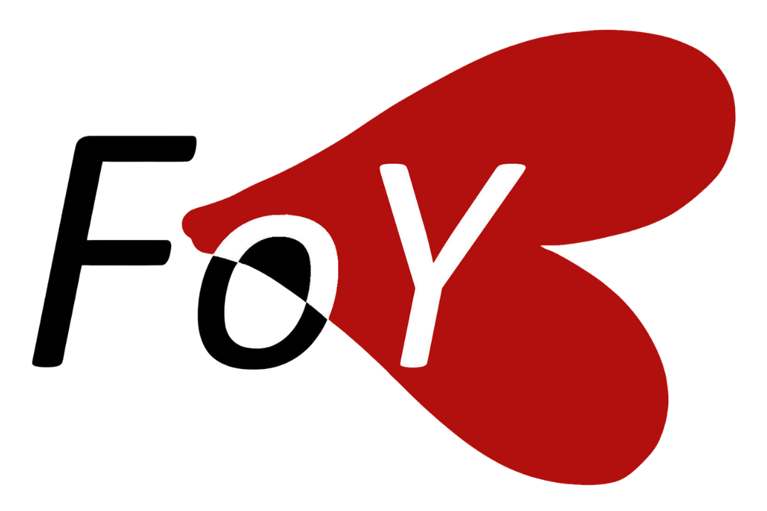 Foy - Clothing brand – FOY